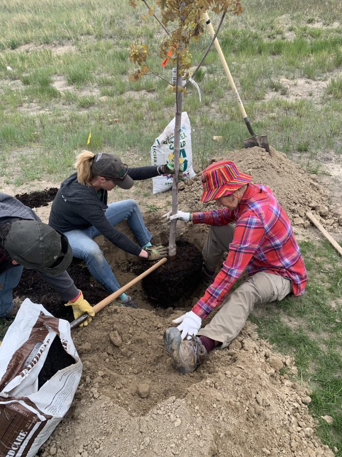 Tri-County FireSafe Working Group | Firewise Demonstration Garden